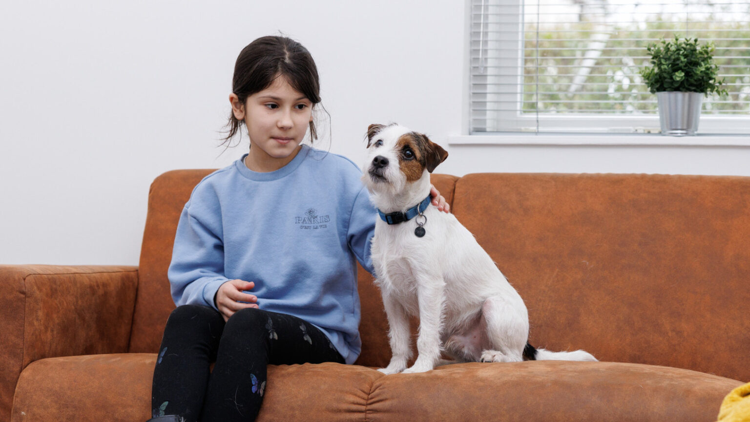 PAWS workshop | KNGF Geleidehonden - Cliënten